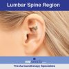 Lumbar Spine Image, Information, and Video | Ear Seeds Products and ...