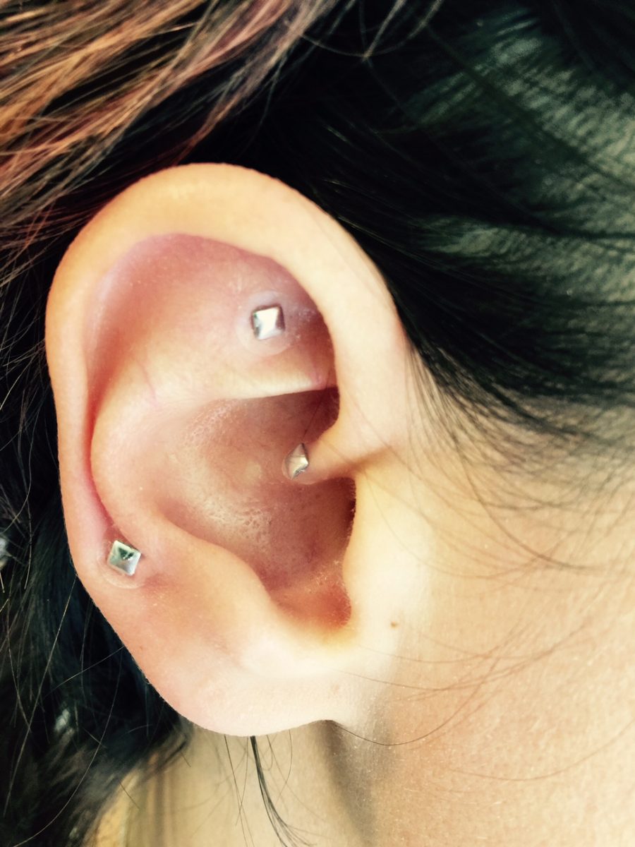 silver studs ear seed pellets – Ear Seeds Products