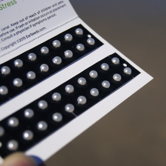 EarSeeds.com | Your #1 Source for Ear Seeds and Auriculotherapy Kits