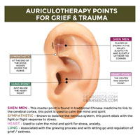 Ear Points for Grief and Trauma | Ear Seeds Products and Education