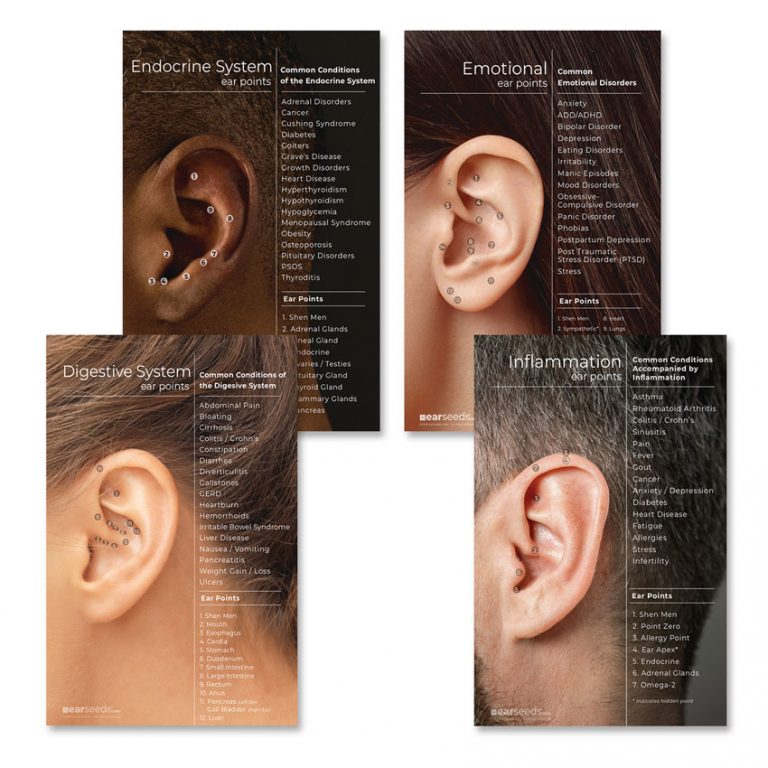Different Types Of Ear Seeds Poster