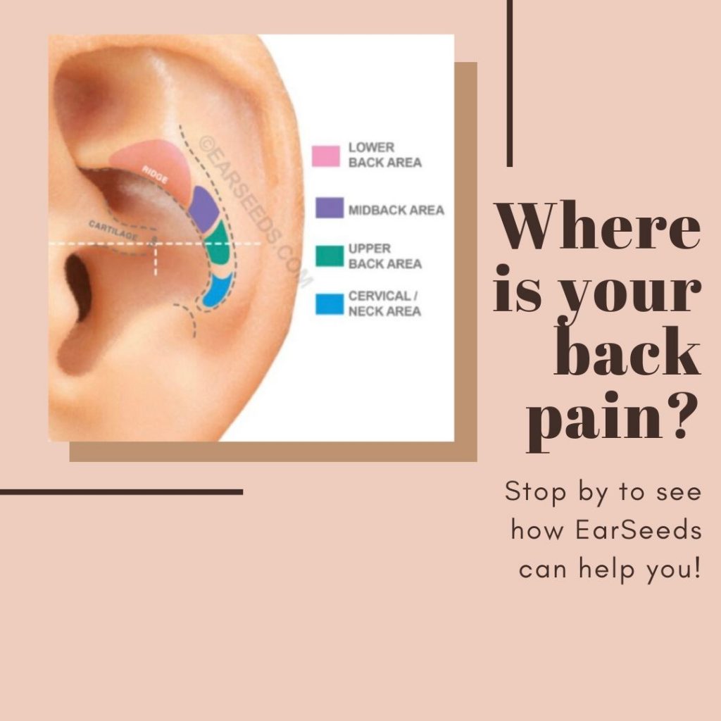where is your back pain – Ear Seeds Retail and Wholesale