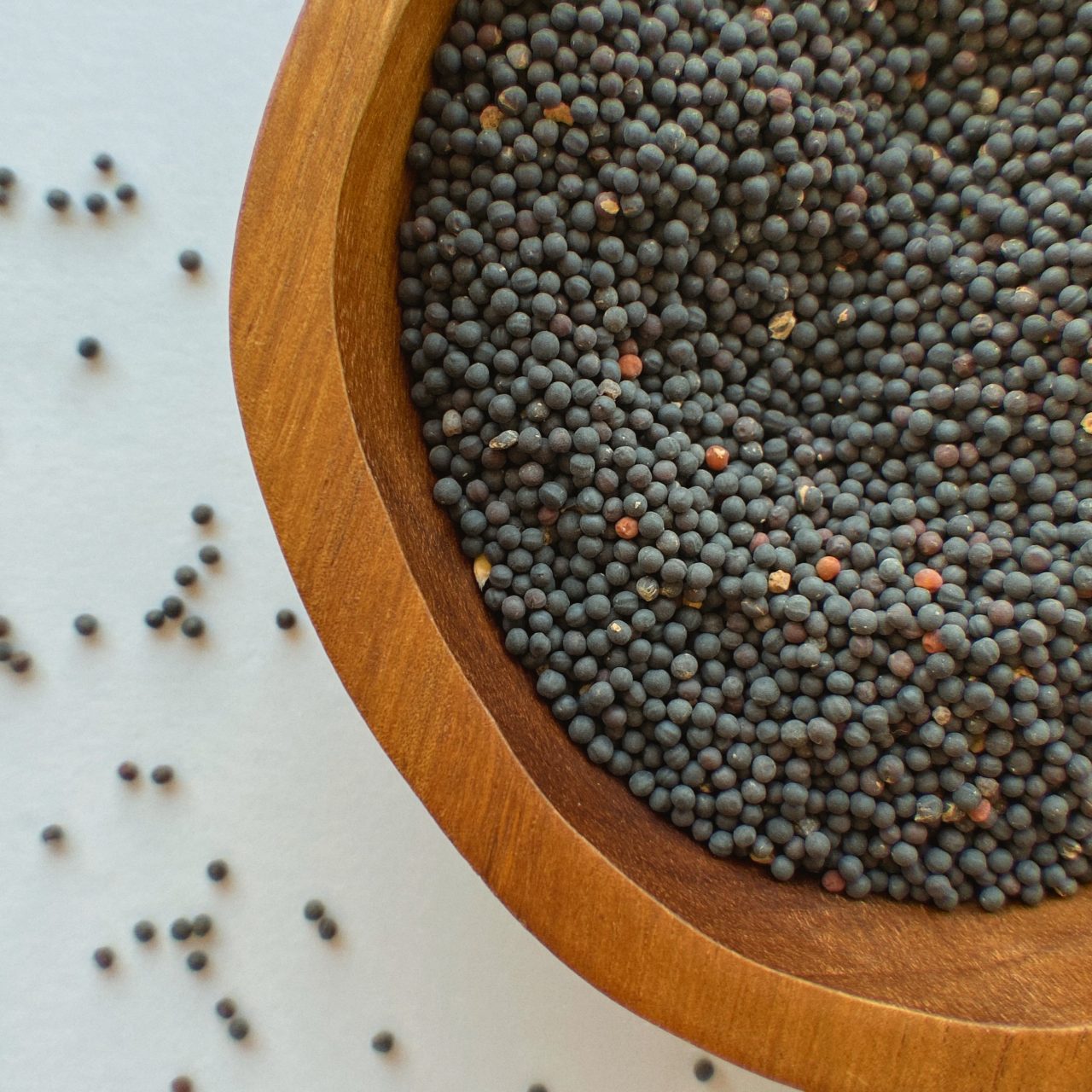 Skintone Collection - Ear Seeds Products