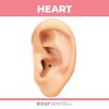 Heart Image, Information, and Video – Ear Seeds Retail and Wholesale