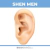 Shen Men Image, Information, and Video – Ear Seeds Retail and Wholesale
